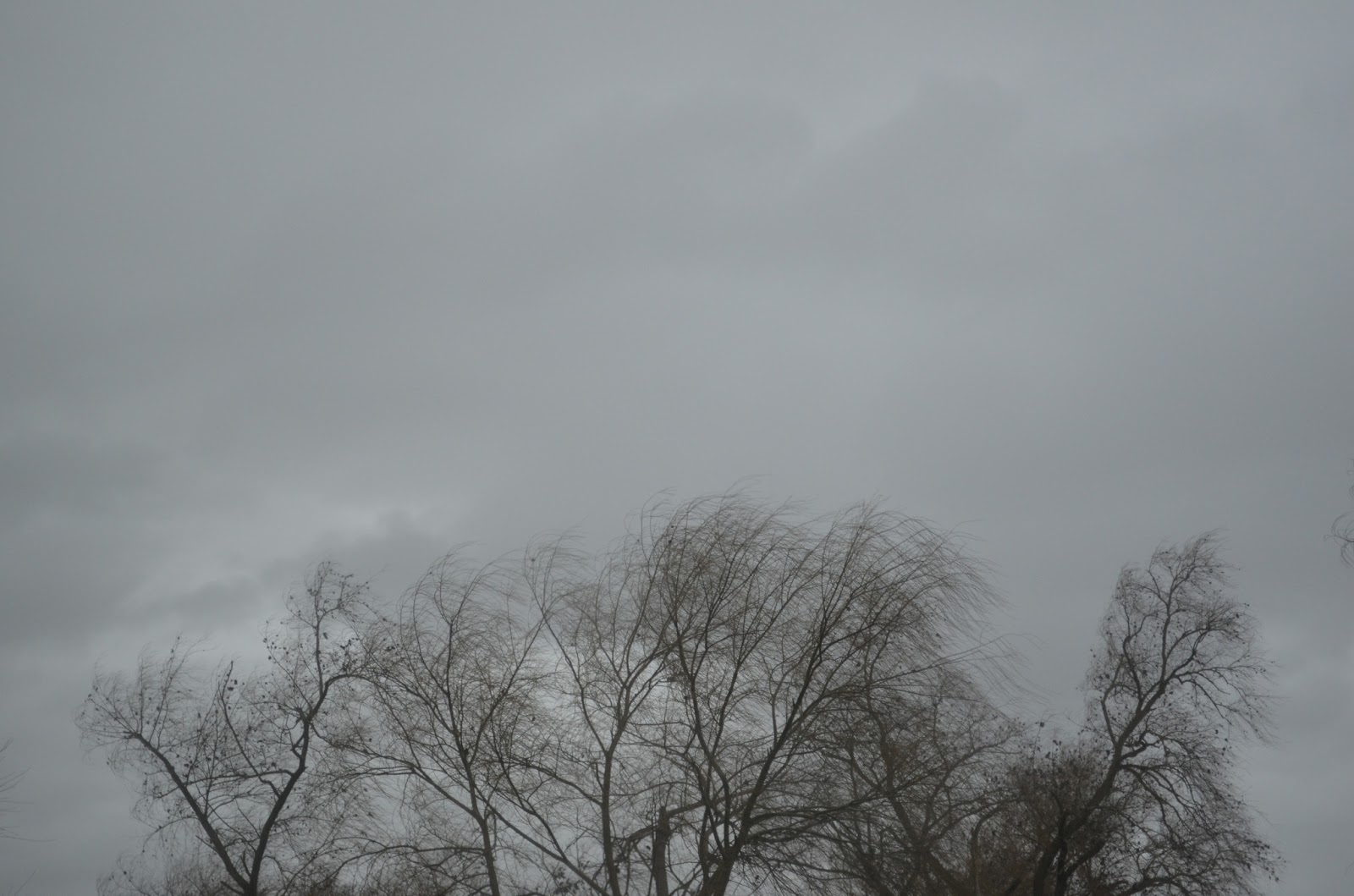 OTCHIPOTCHI: WINTER SKY