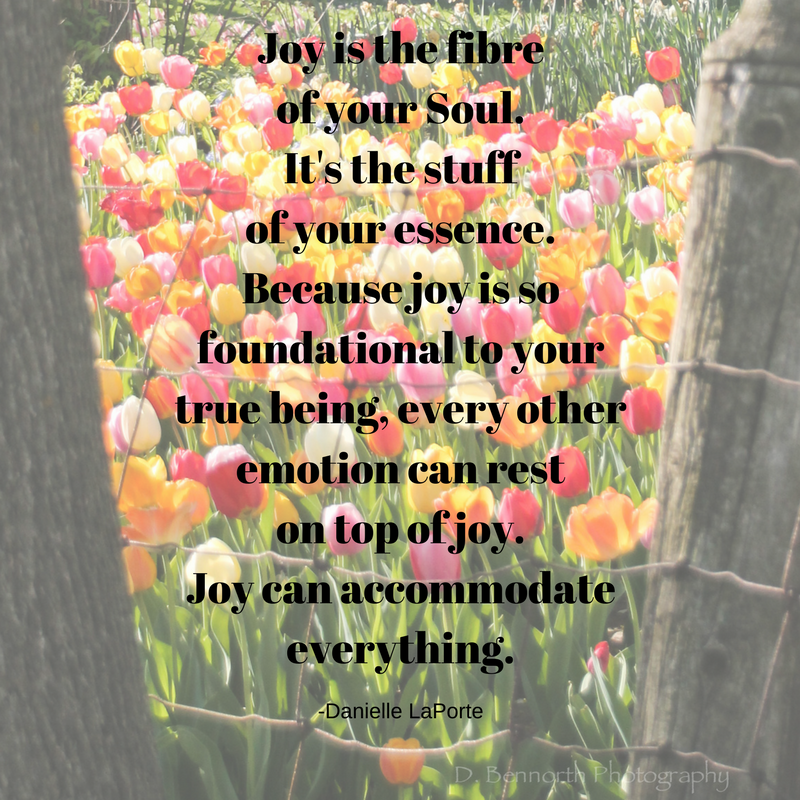 The Bees’ RV: Joy, Joy, Joy, Joy