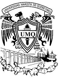 Portafolio 7° Semestre: Misión y Visión