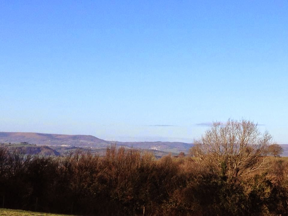 Usk Chirps: Springdale Farm Nature Reserve