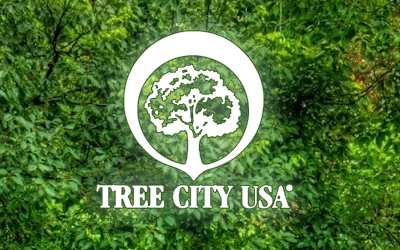 Go Montgomery: Montgomery County Named 2015 Tree City USA for 20th ...