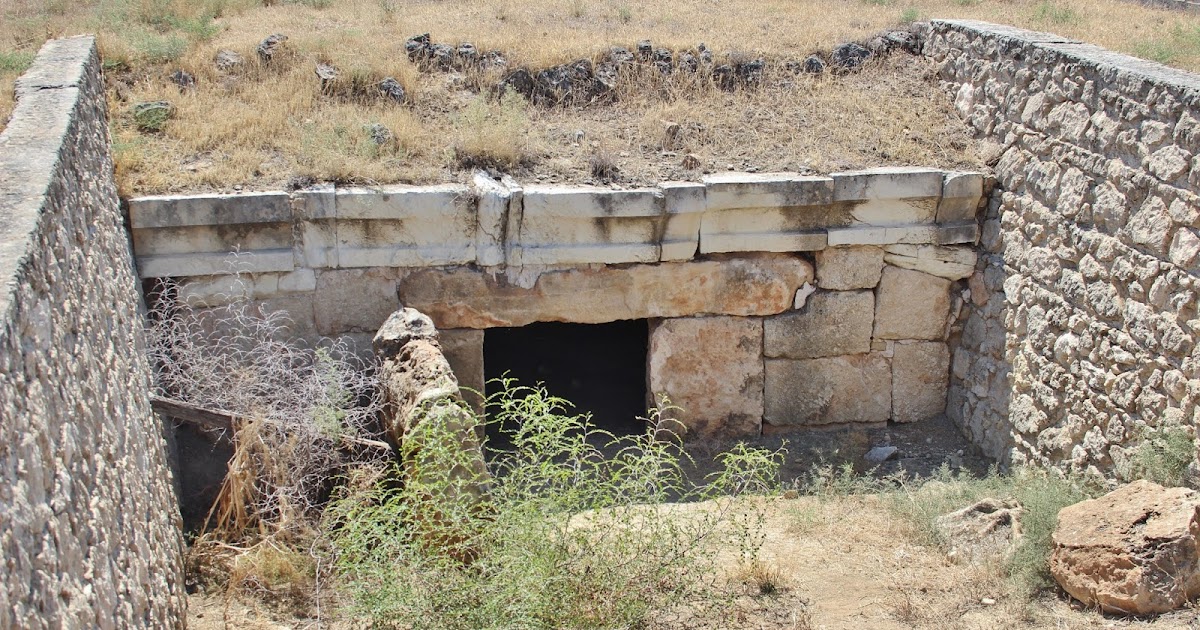 Biodiversity of Cyprus by NGO Protection of the Natural Heritage and ...