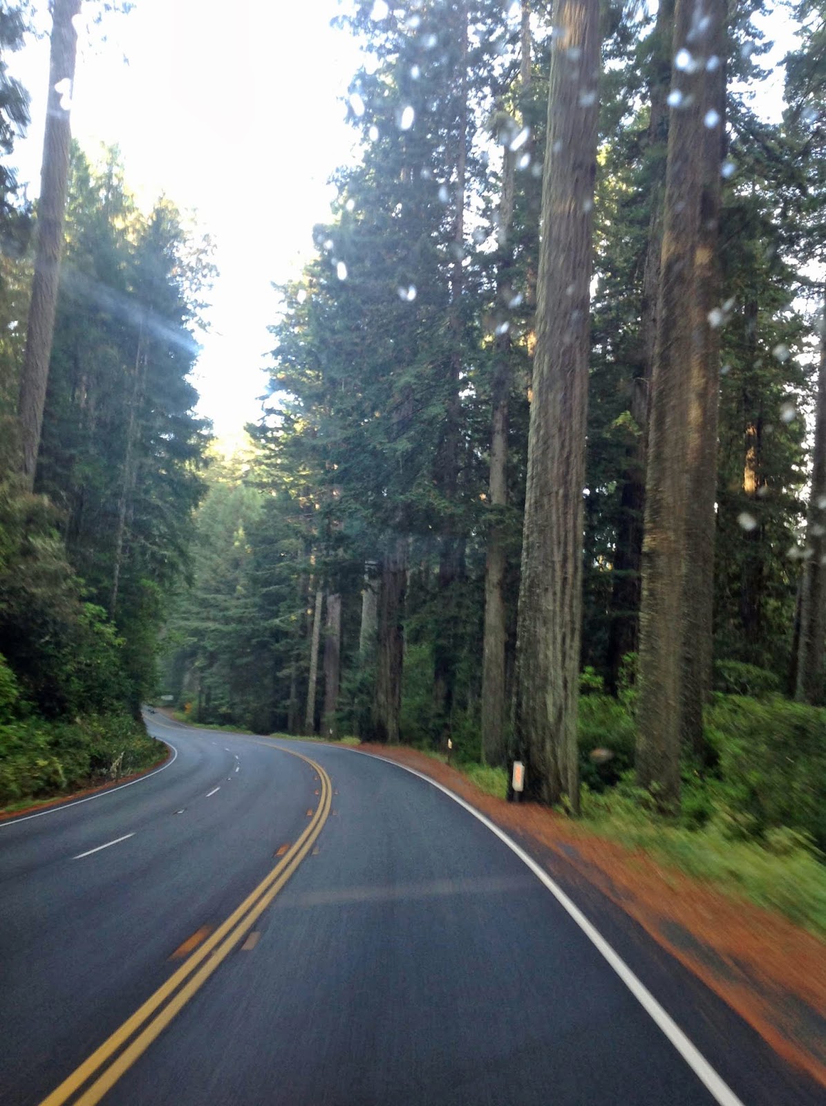 West Coast America - 2013: Day 15 - Travel Day to Redcrest, CA