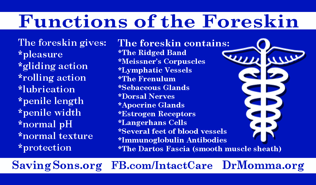 peaceful parenting: Foreskin and its 16+ Functions