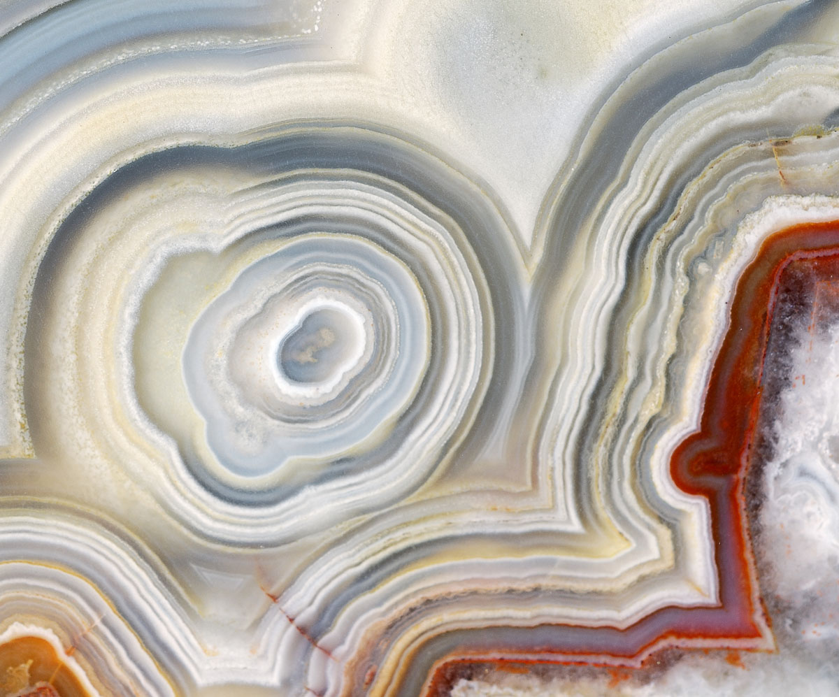 The Agatelady: Adventures and Events: Agates Up Close