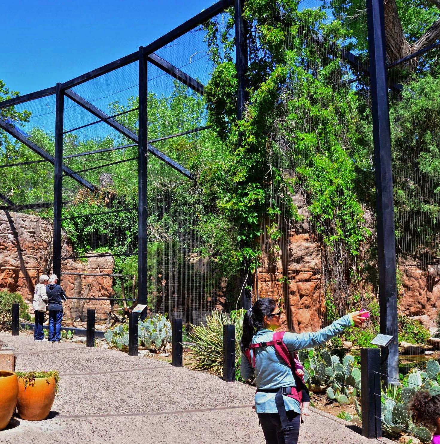 Zoo and Aquarium Design: Piano-Wire Fence: keeping the focus on the ...