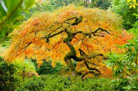 In en om die huis: 2012-02-26