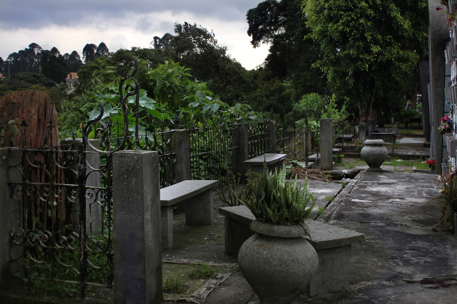 Photo Ranch: Garden in General Cemetery, Guatemala City; Jardin en ...