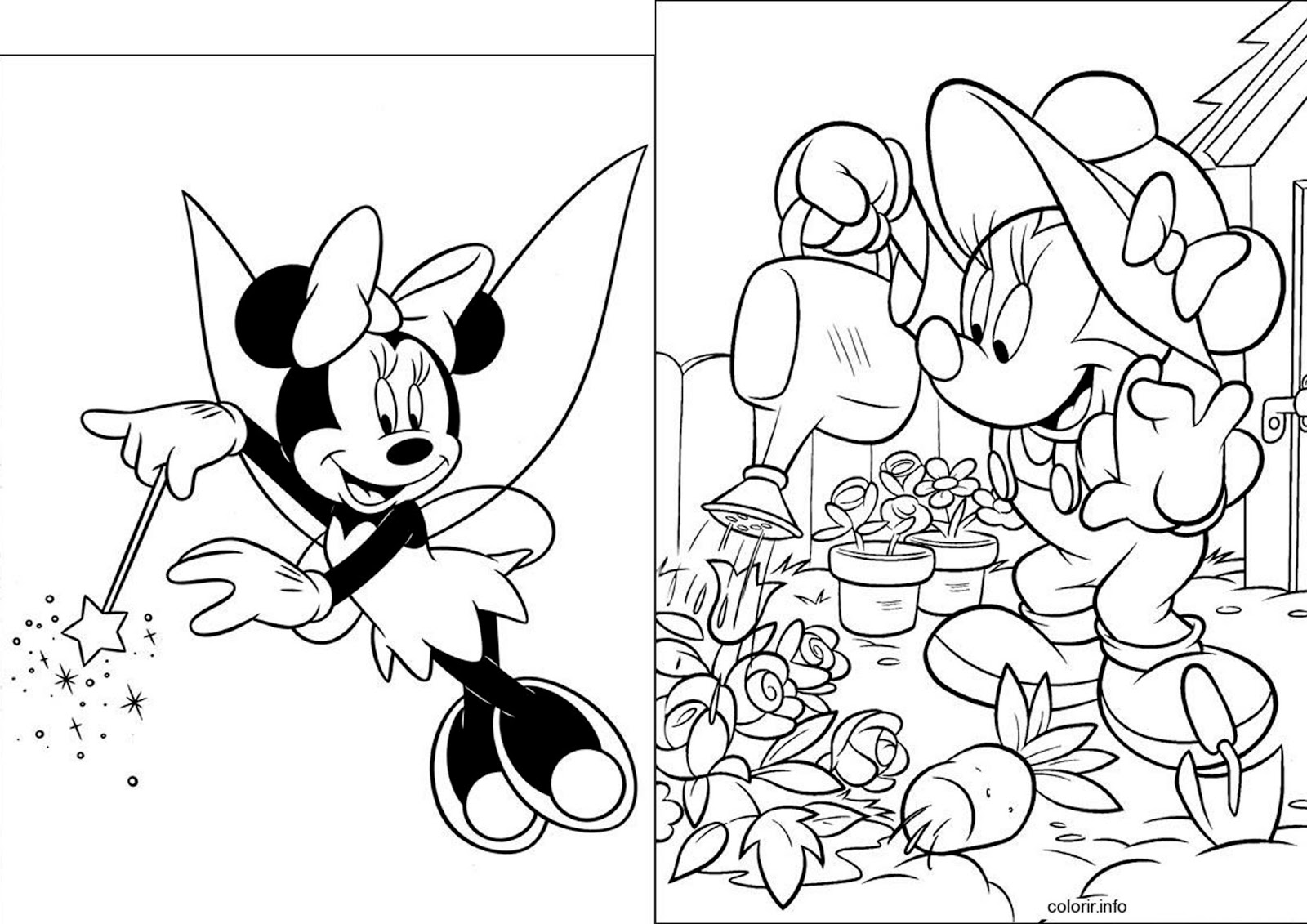 Livro de colorir Minnie | Montando minha festa