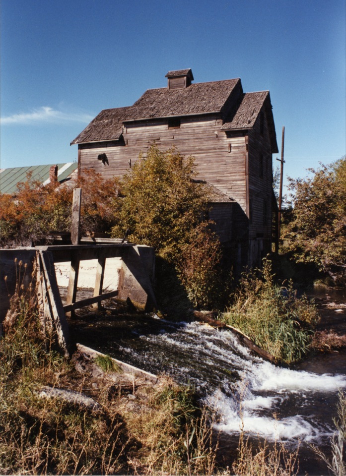 Fodderwing: Thorpe Mill