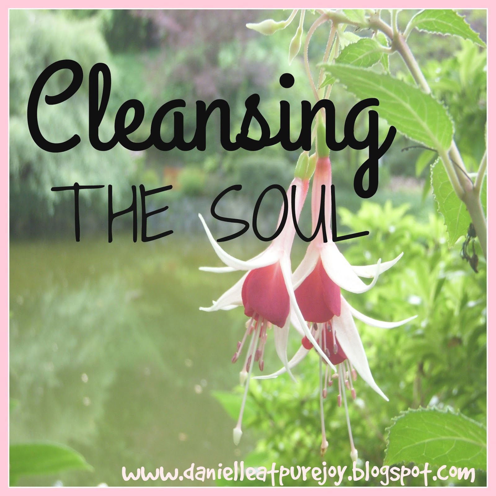 Pure Joy: Soul Cleansing