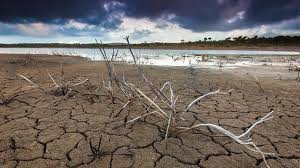 Sobreexplotacion de los Recursos Naturales: 2015