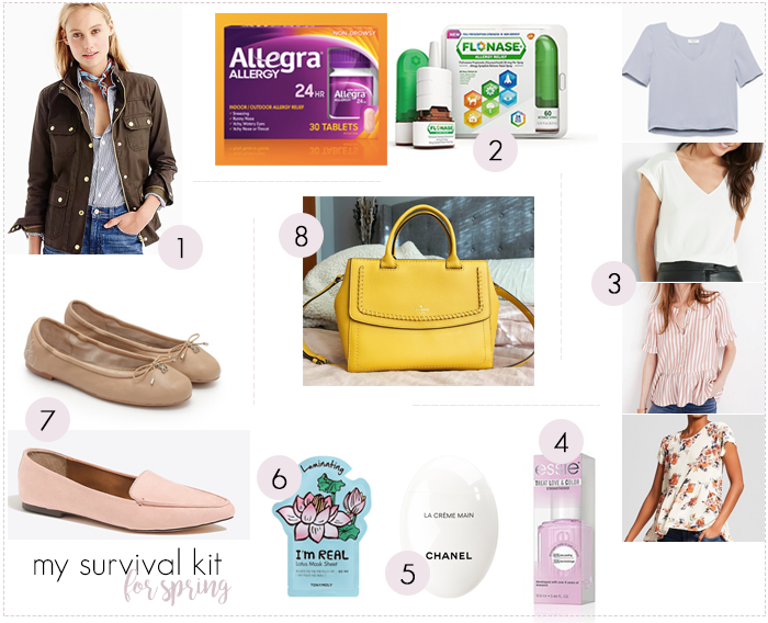 Spring Survival Kit | Hello, Chelly