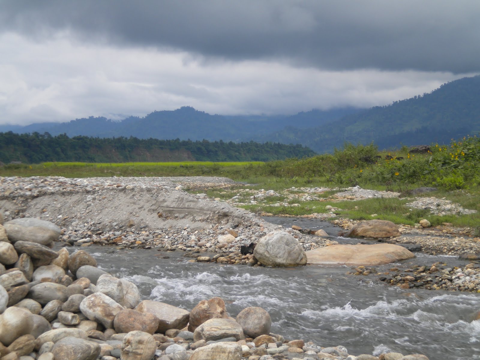 Beauty of Northbengal: Image of dooars