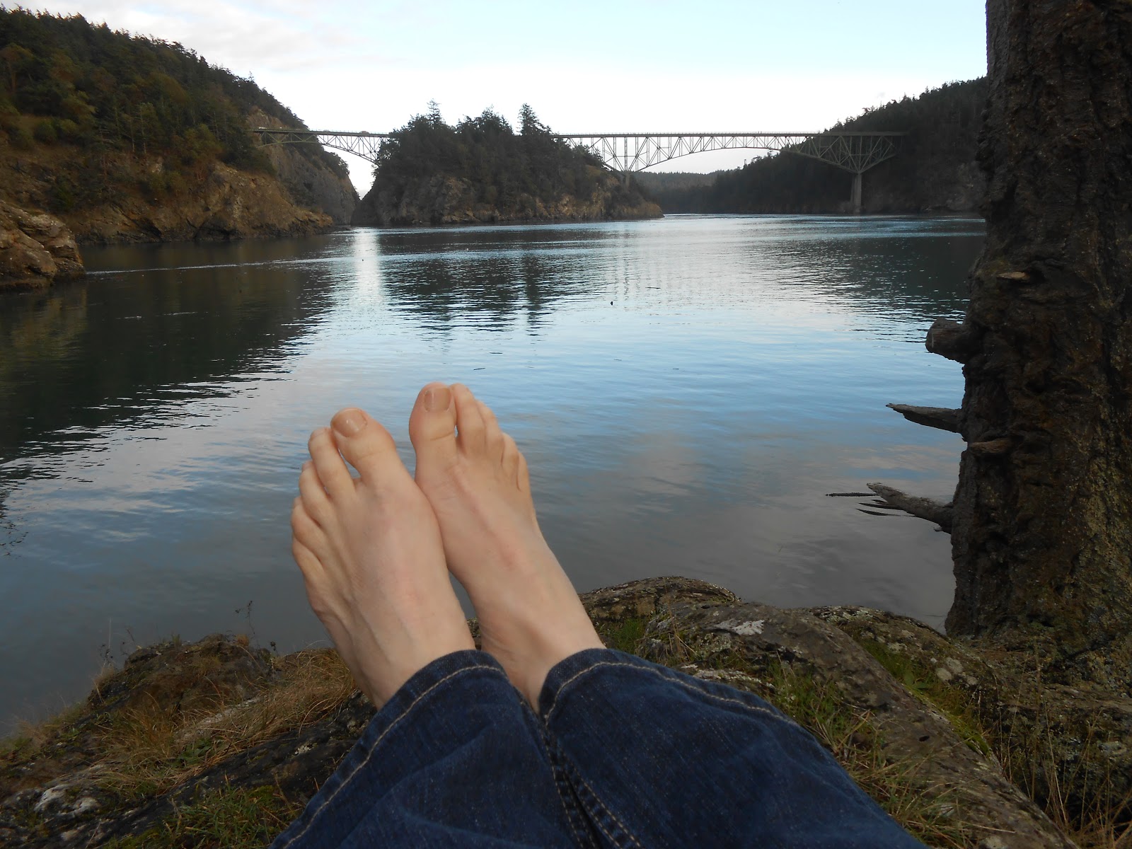 50 Days, 500 Miles, and 5 States When I Turn 50: For Barefoot Jake