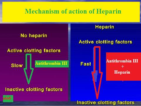 pharmacology: Coagulant Anticoagulant