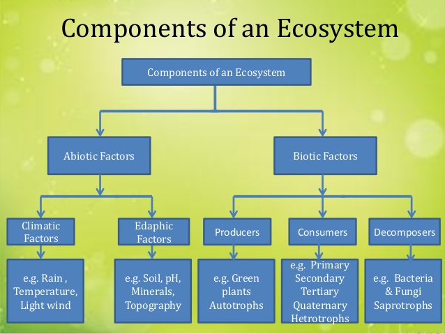 We are scientists!: 5.1 ELEMENTS OF ECOSYSTEMS