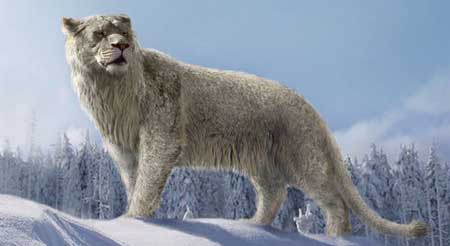 El Blog de Acebedo: El león cavernario reinaba en Asturias en el ...