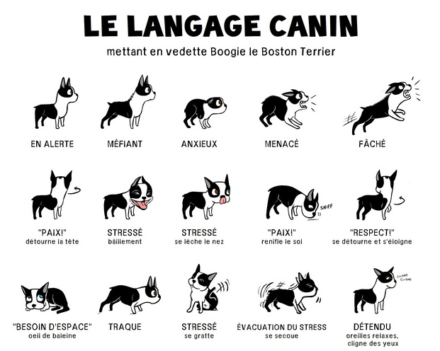 LE LANGAGE CANIN