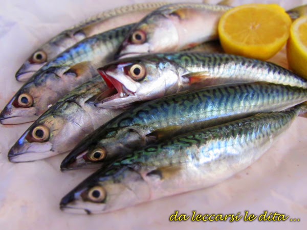 da leccarsi le dita...: SGOMBRO SOTT'OLIO