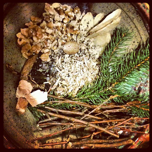 Plant Journeys: Black Forest Chai Recipe, Cave Poetry, and Important ...