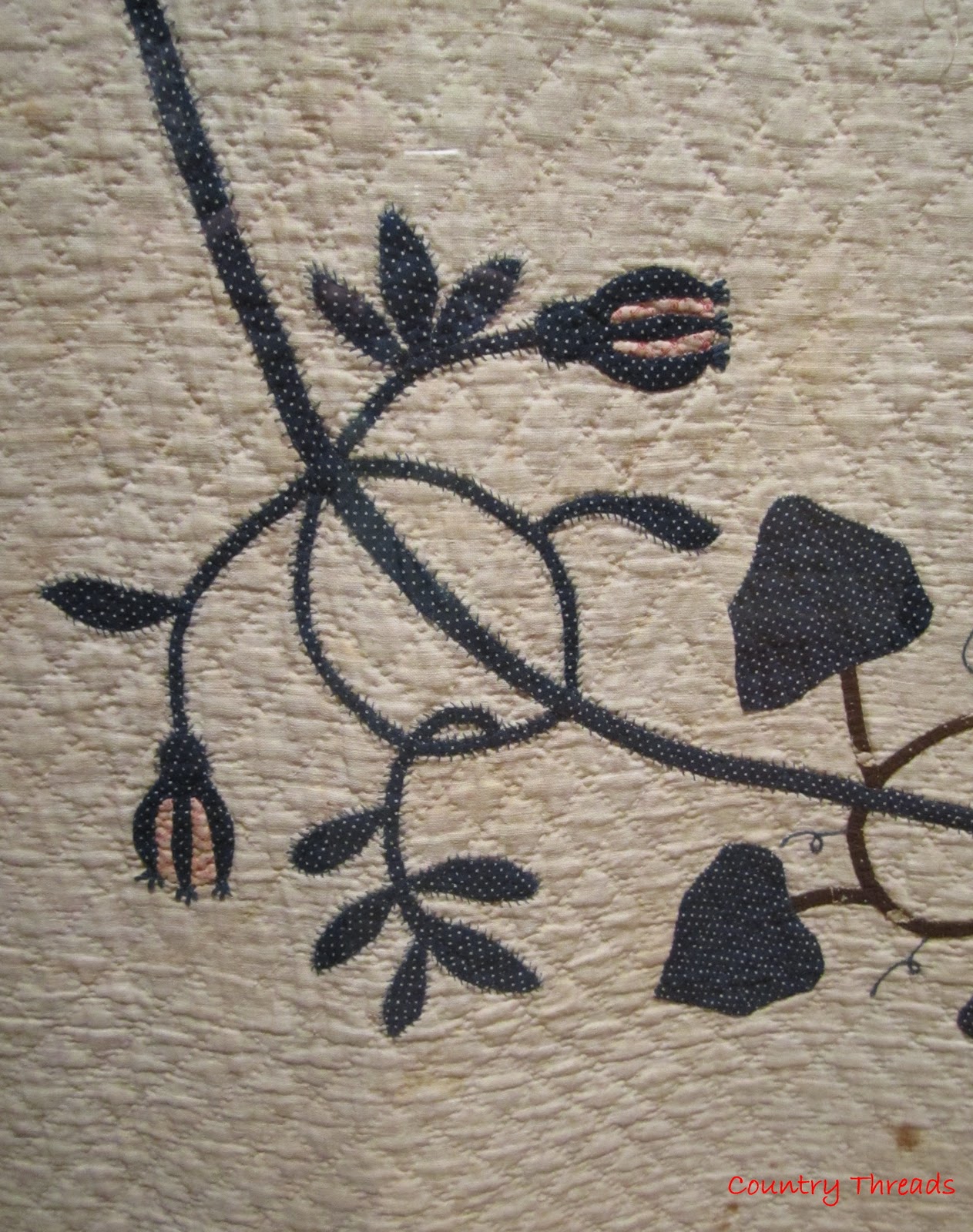 Country Threads: Quilts from the DAR Museum, Washington DC