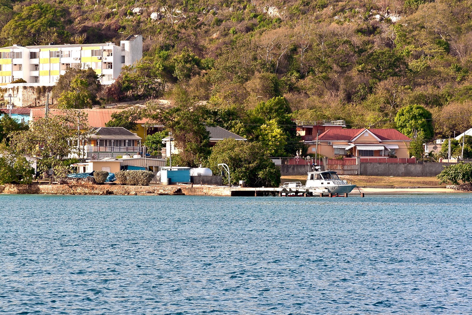 log of the anhinga: 29 June - 3 July 2015... Discovery Bay, Jamaica