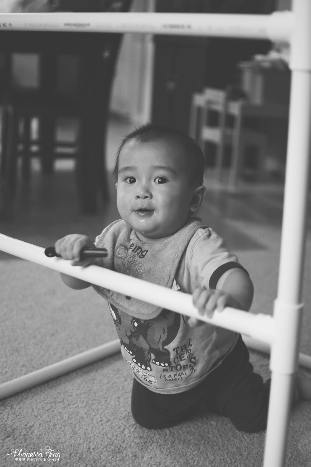 Phanessa's Crafts: DIY Ladder Ball Stand