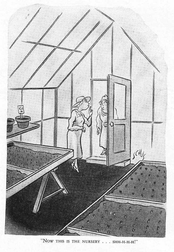 Mike Lynch Cartoons: The Judge Magazine April 1938