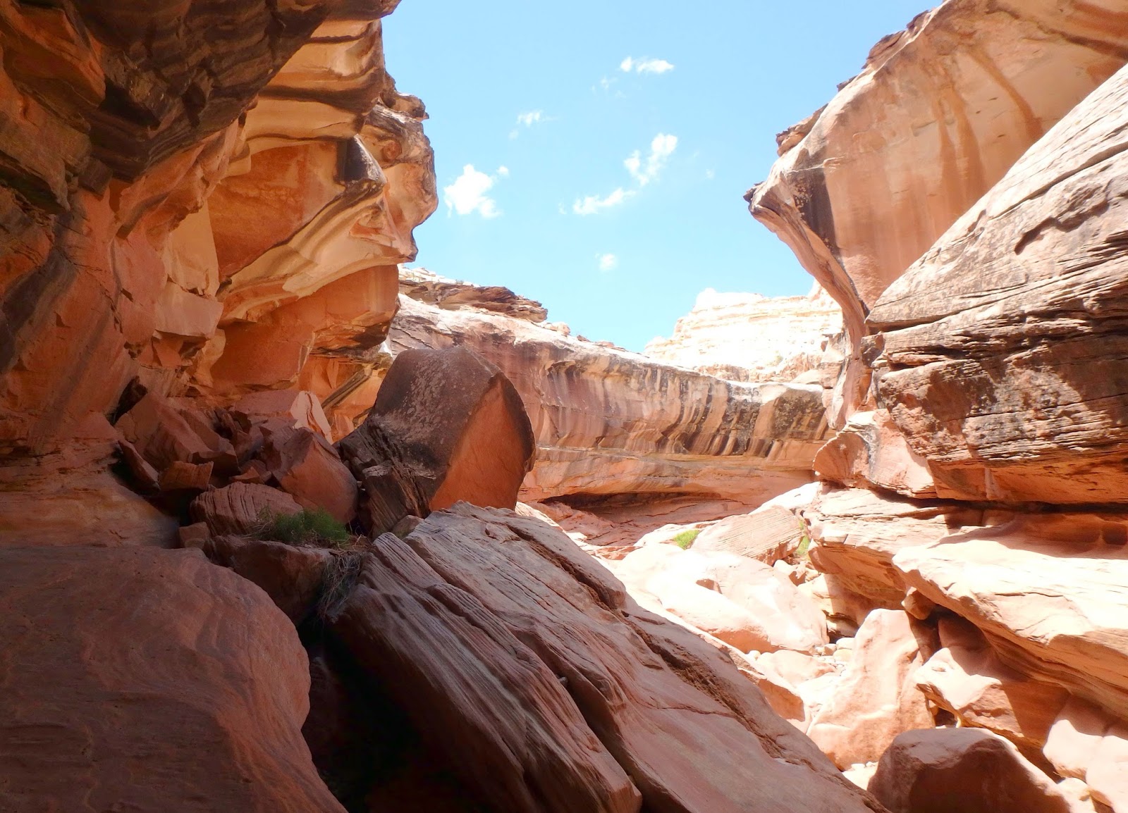 PAMPERED PENGUIN: May 24, 2017 Crack Canyon, San Rafael Swell, Utah