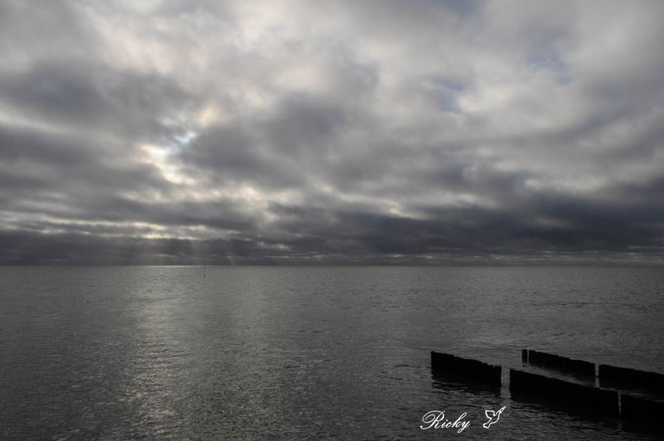 RiCKy: Se Juntan en el Infinito del Mar Dulce