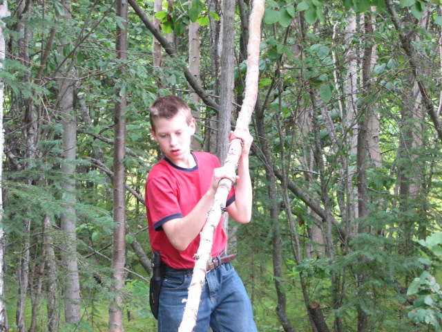 A Family is an Adventure: How to Build a Redneck Chicken Coop