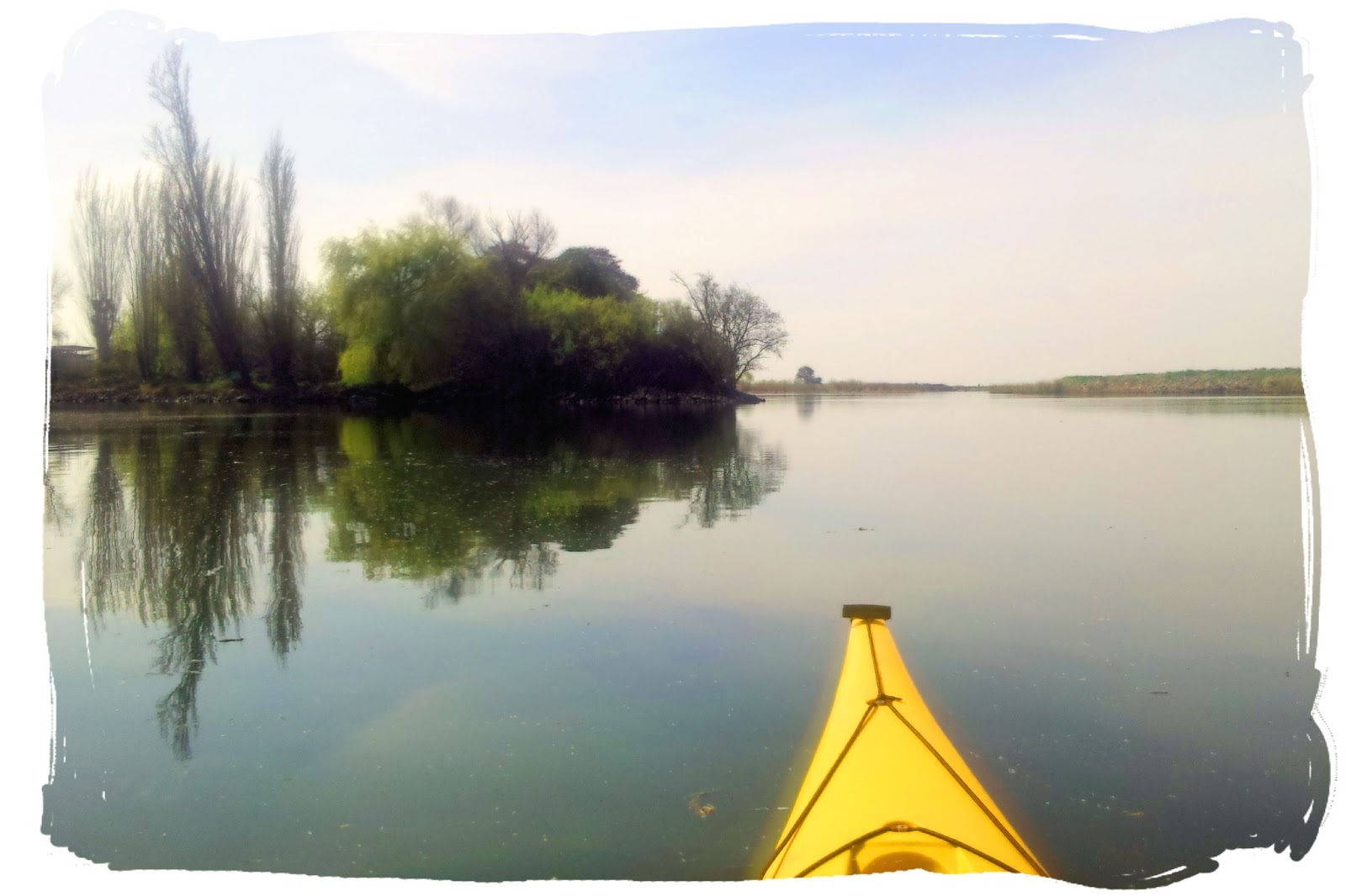 Kayaking the California Delta: Potato & White Slough