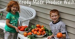 Purposeful Homemaking: Ready-Made Produce Wash