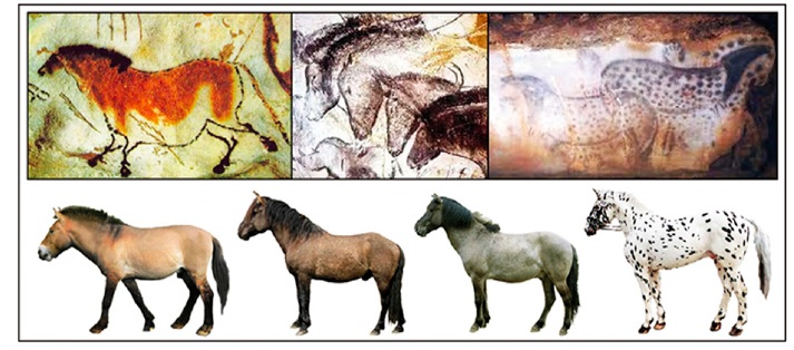 Encantado: Ancient Art, Modern Anxieties