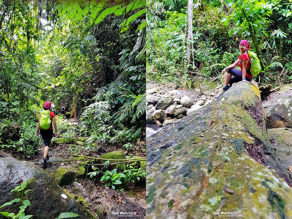 Tigok Waterfall【洪水来袭】惊险瀑布之旅 - 乐飞翎 ♥ LUVFEELIN