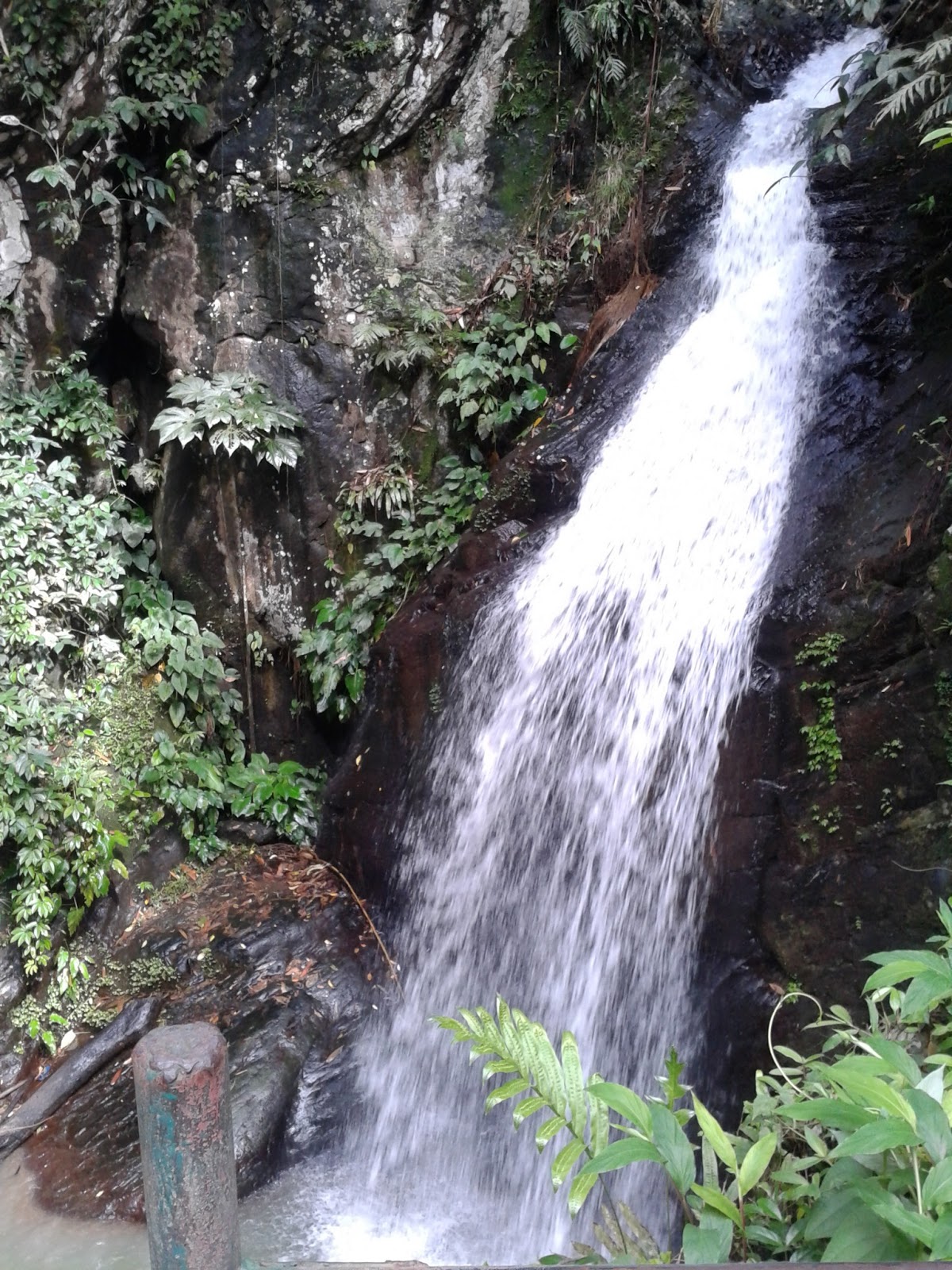 Chasing Bubbles: Bacolod: Mambukal's Seven Waterfalls