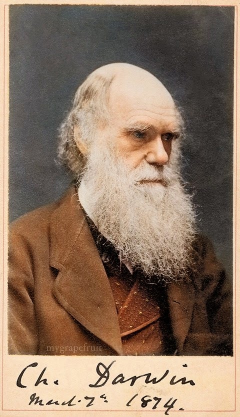 Charles Darwin: el padre de la evolución