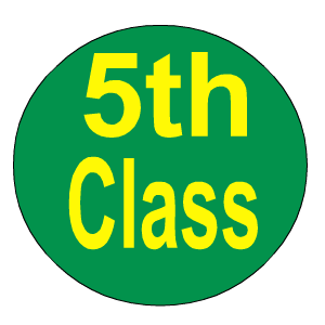 5th Class All Subjects Punjab Board and Federal Board English Medium ...