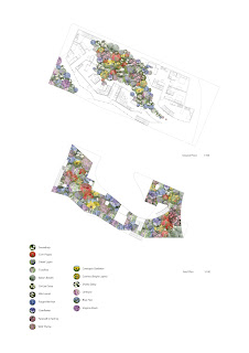 Grace's Meadow: Final meadow planting plan