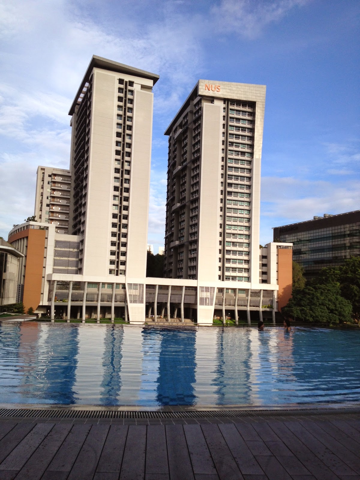 Singapore and the quirky Asia!: Singapore/ NUS 101- the pre-departure ...