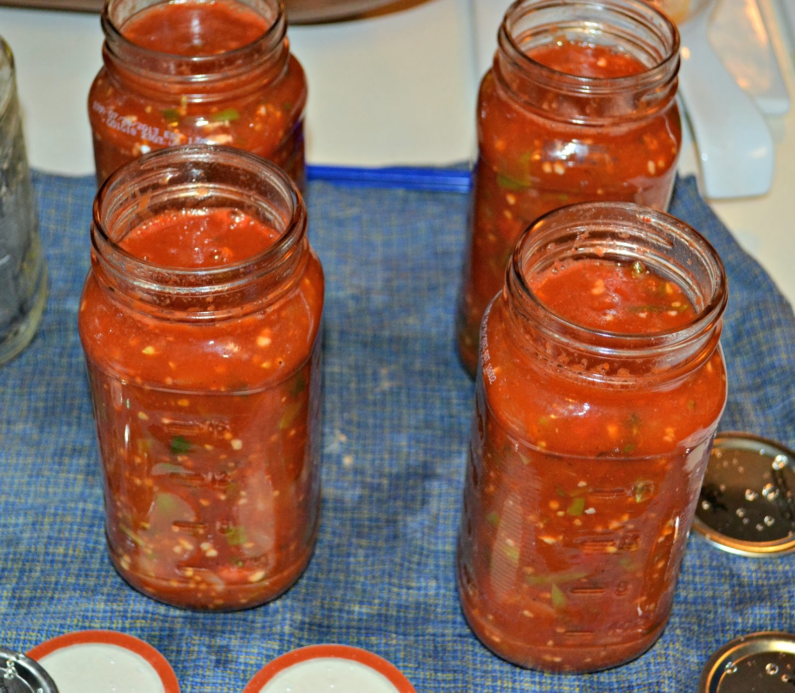 Fresh Vegetable Salsa (medium heat) - Hezzi-D's Books and Cooks