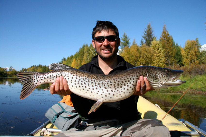 Chavanga Fish Blog: Khabarovsk Taimen fishing tour