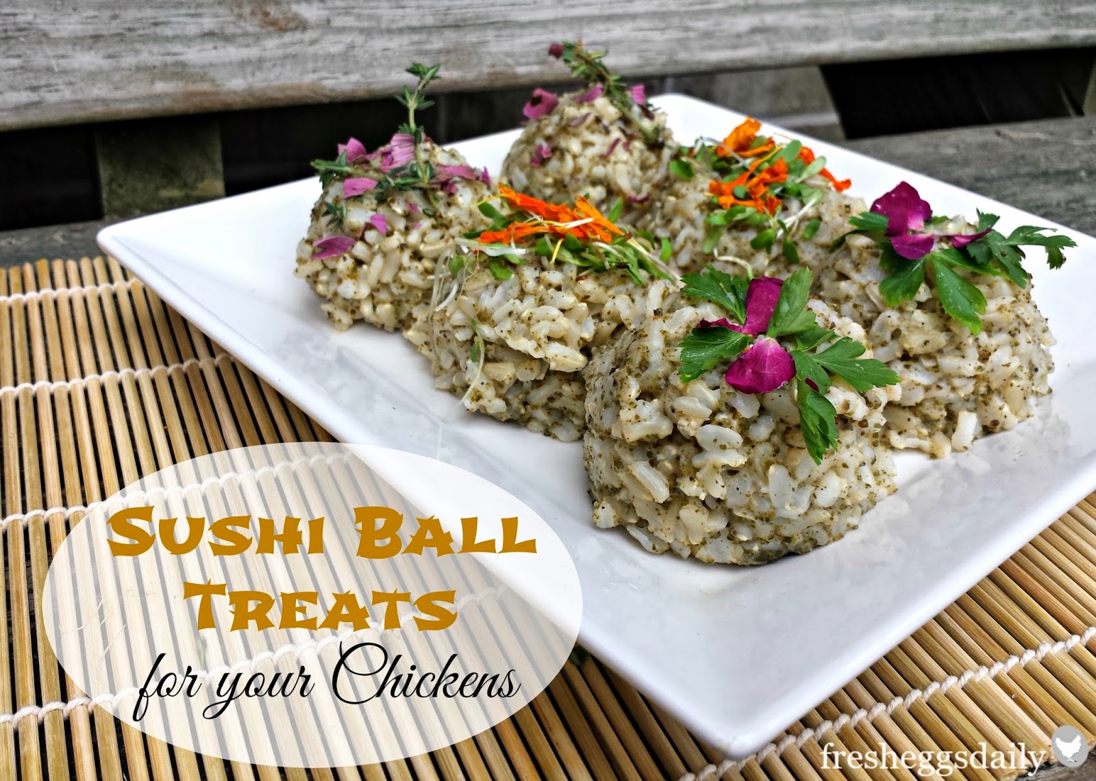 Sushi Ball Treats for the Chickens - Fresh Eggs Daily® with Lisa Steele