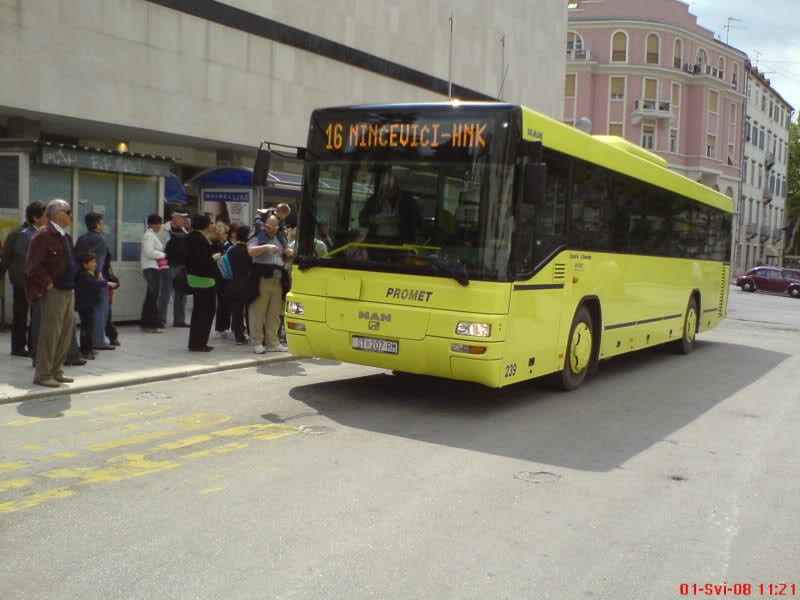busevi