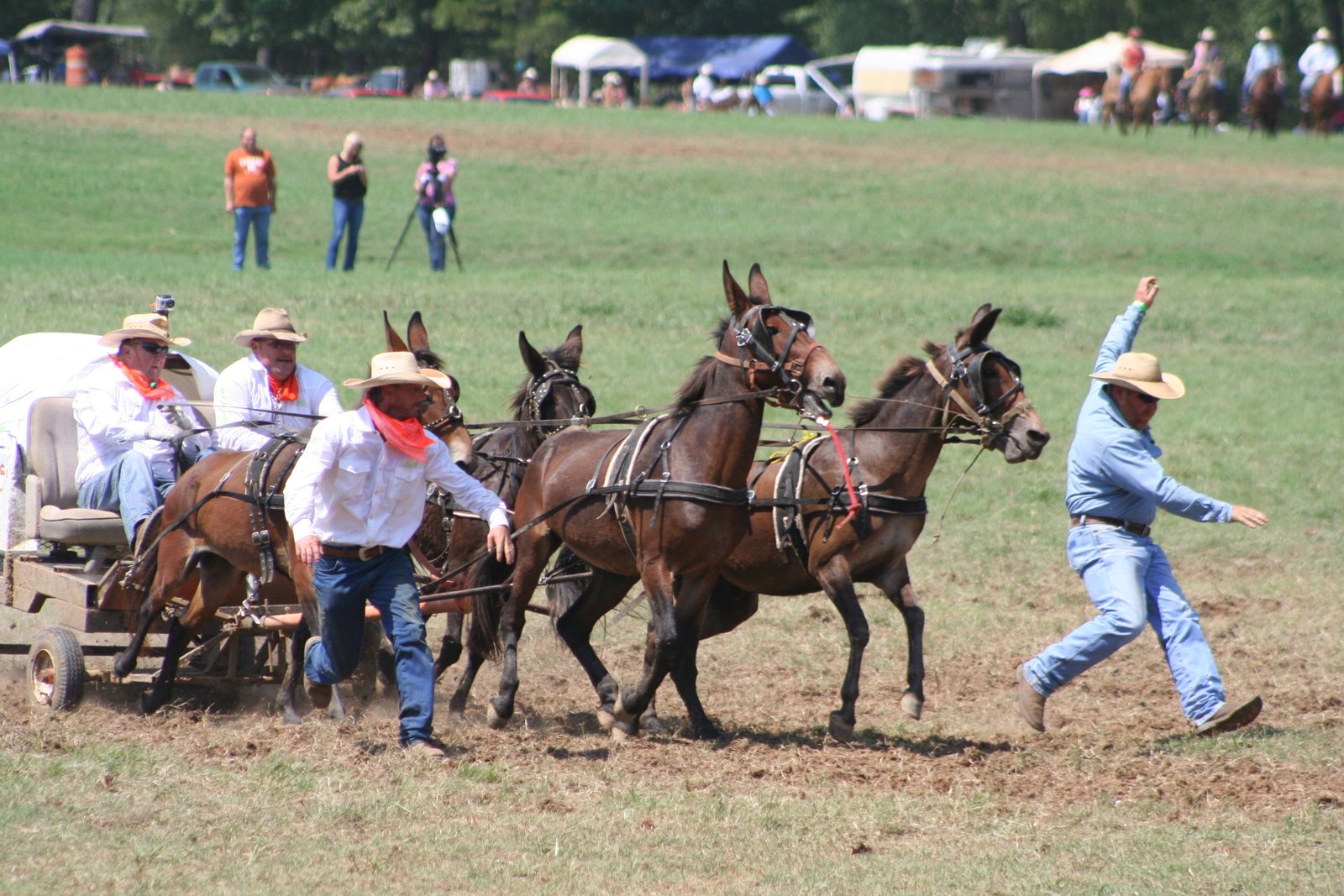 PairADice Mules: Race Pictures