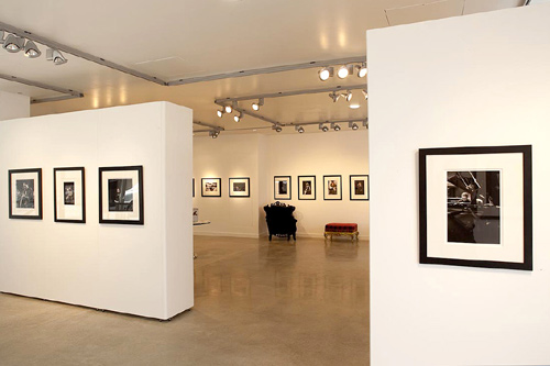 Ciep Photography: Art Gallery Photography