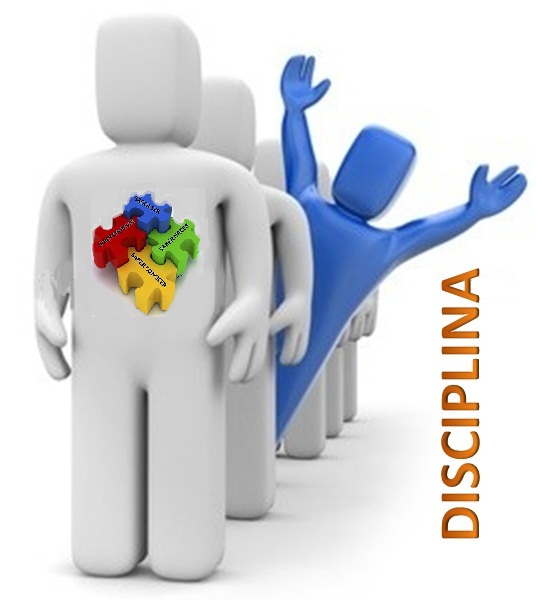 Las Disciplinas de los Deportes: Las Discilplinas del Deporte