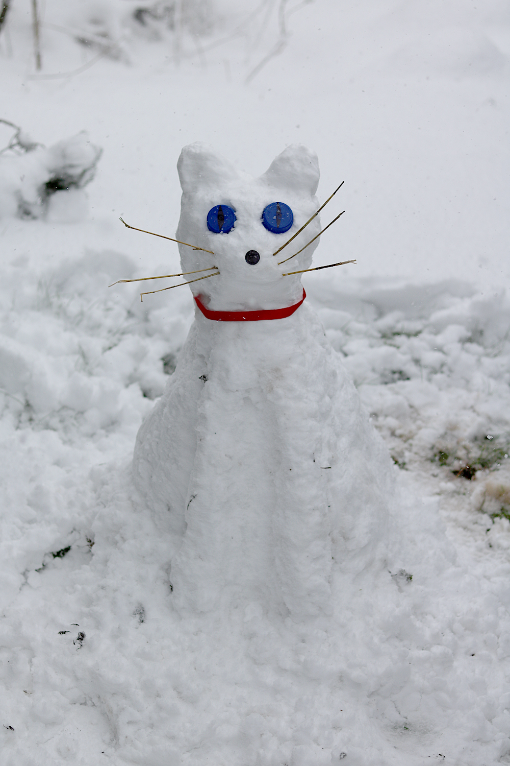 Paracosm of Lilies: 101 in 1001 - Make Something Out of Snow (Part 2 ...