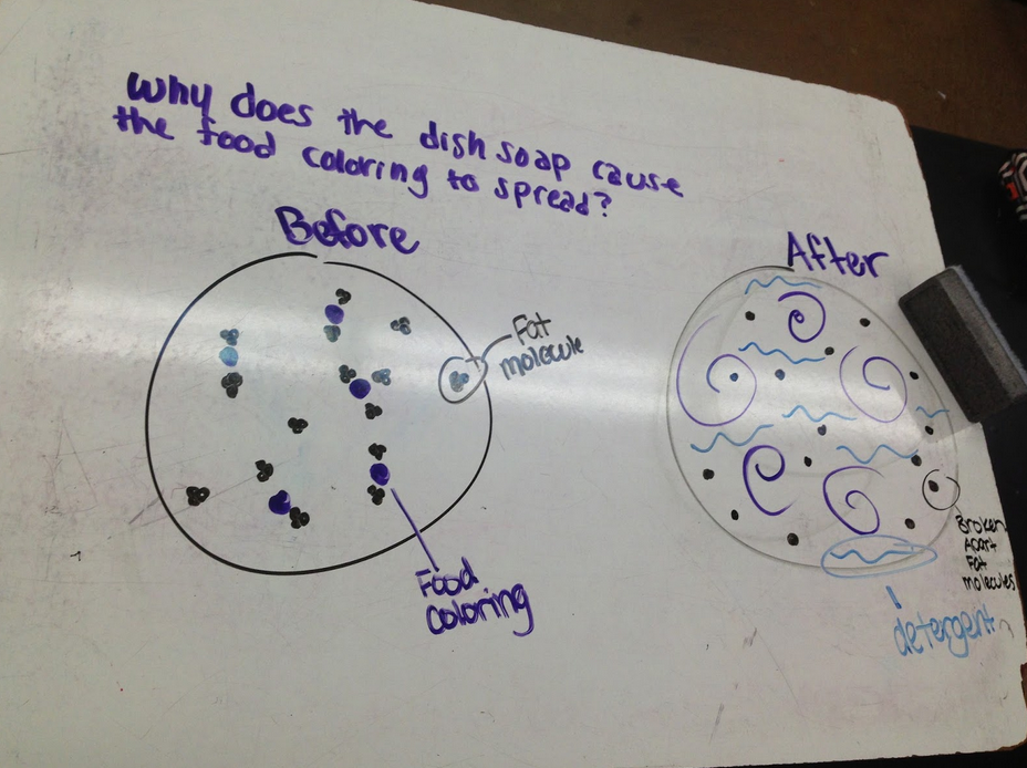 Honors Biology Blog: Dancing Milk Experiment